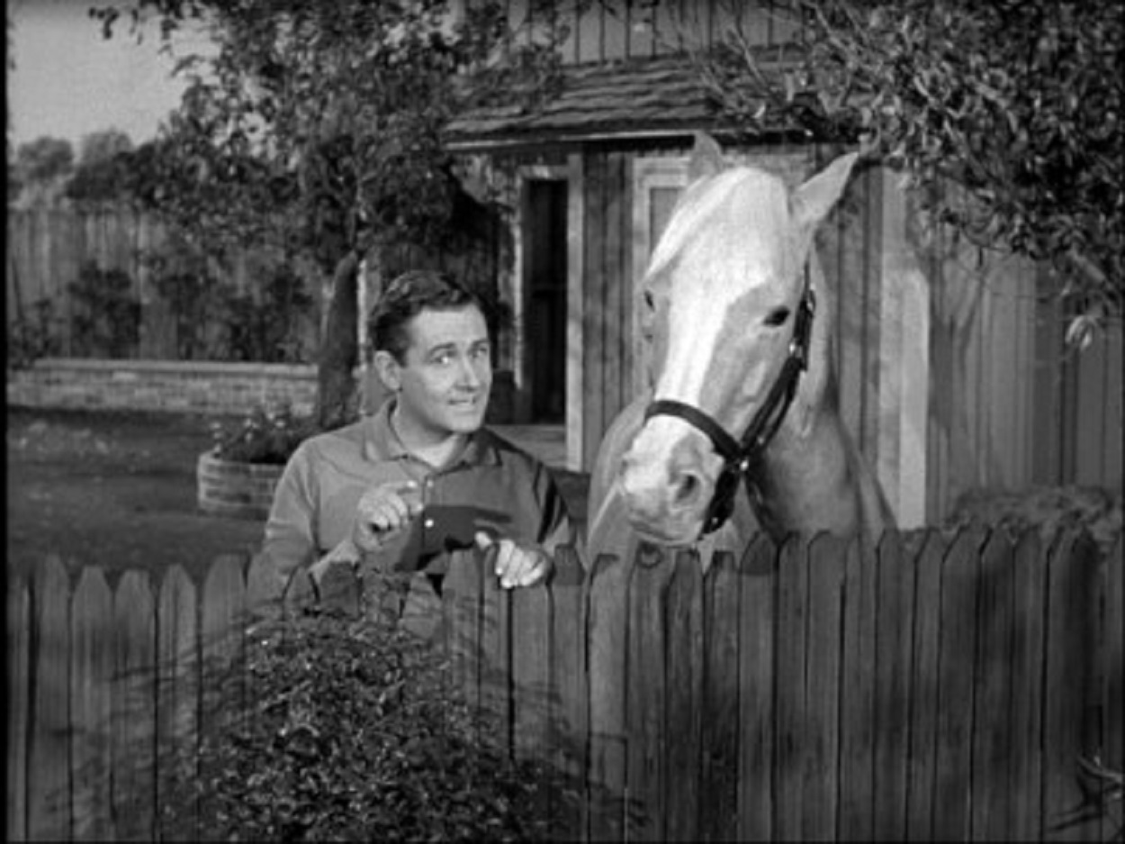 ‘Mister Ed’ (Season 2): Popular sitcom moves from syndication to CBS ...