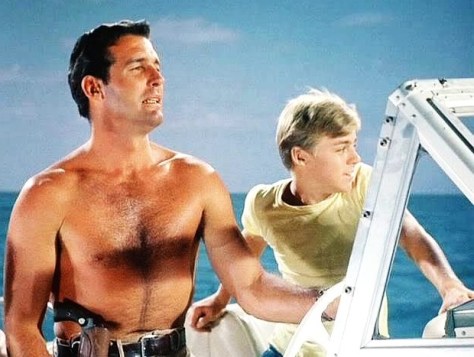 ‘Flipper’ (Season 1): ’60s favorite still loaded with family-friendly ...