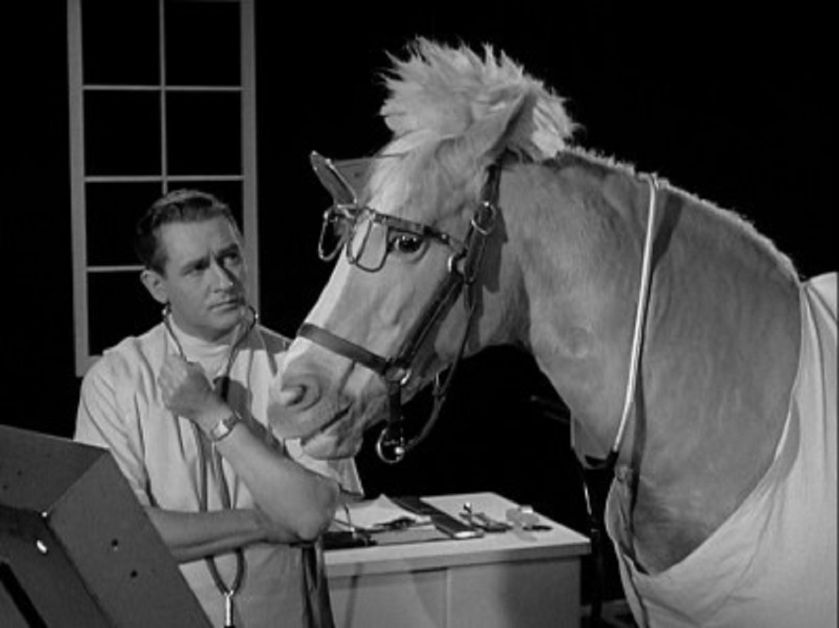 ‘Mister Ed’ (Season 3): Classic sitcom is still funny, but its rigid ...