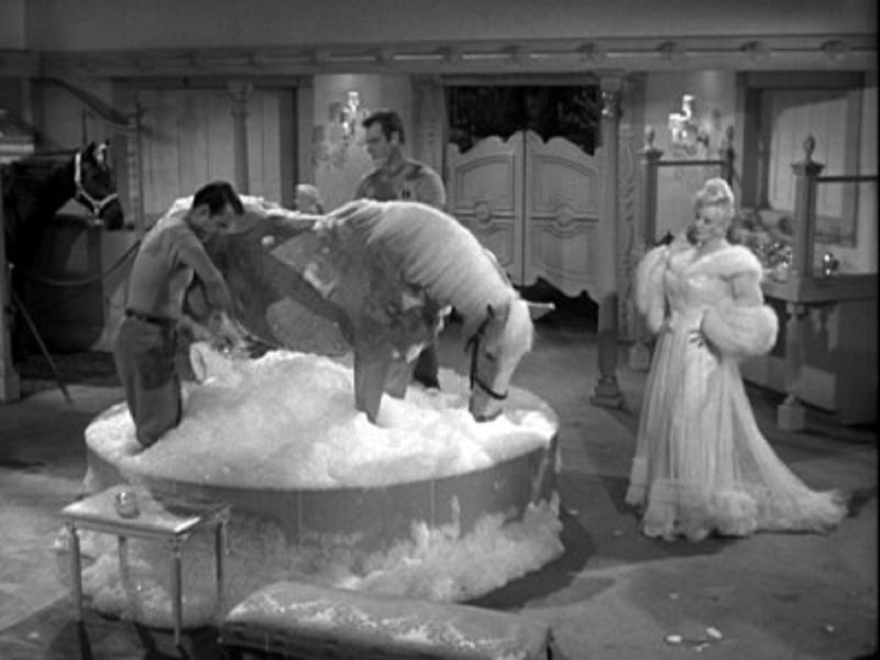‘Mister Ed’ (Season 4): Despite cast changes, sitcom returns to form in ...