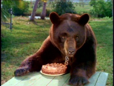‘Gentle Ben’ (Season 1): Sweet, simple, expertly-done family television ...