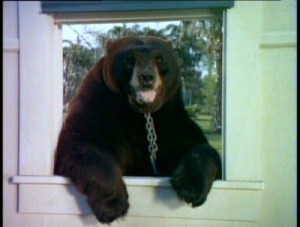 ‘Gentle Ben’ (Season 1): Sweet, simple, expertly-done family television ...