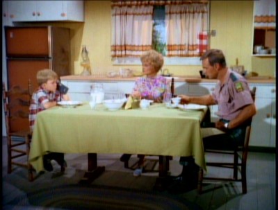 ‘Gentle Ben’ (Season 1): Sweet, simple, expertly-done family television ...