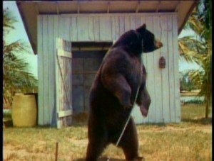 ‘Gentle Ben’ (Season 1): Sweet, simple, expertly-done family television ...