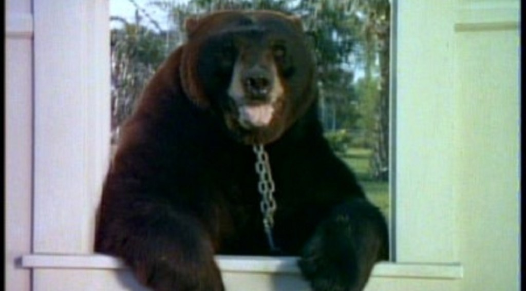 ‘Gentle Ben’ (Season 1): Sweet, simple, expertly-done family television ...
