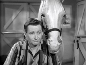‘Mister Ed’ (Season 5): The solid laughs continue – an impressive feat ...