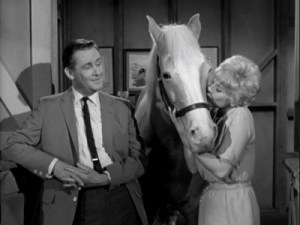 ‘Mister Ed’ (Season 5): The solid laughs continue – an impressive feat ...
