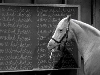 ‘Mister Ed’ (Season 5): The solid laughs continue – an impressive feat ...