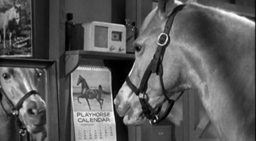 ‘Mister Ed’ (Season 5): The solid laughs continue – an impressive feat ...